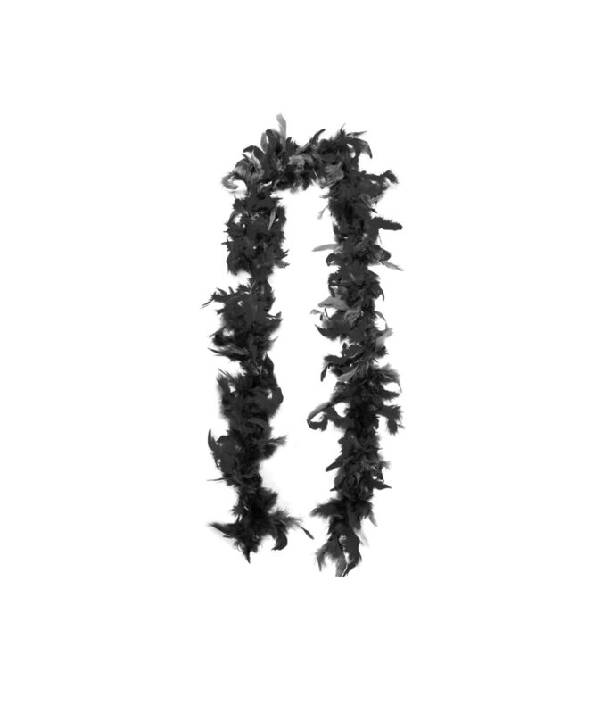 Black Feather Boa – LookSharpStore
