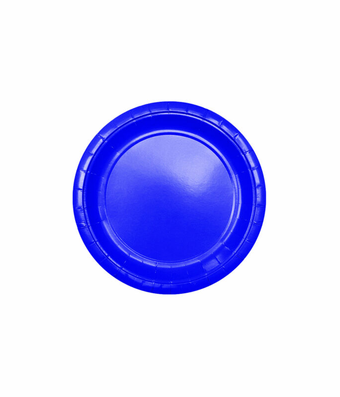 Royal Blue Paper Plates 12x9in – LookSharpStore