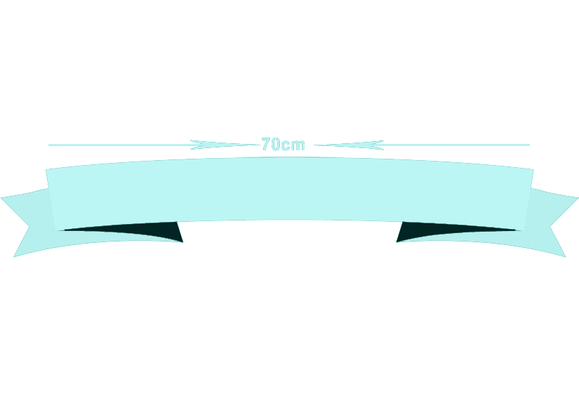 Customized Sash – Baby Blue | LookSharpStore