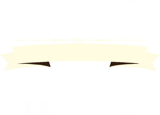 Customized Sash – Ivory | LookSharpStore