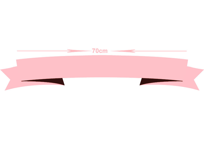 Customized Sash – Light Pink | LookSharpStore