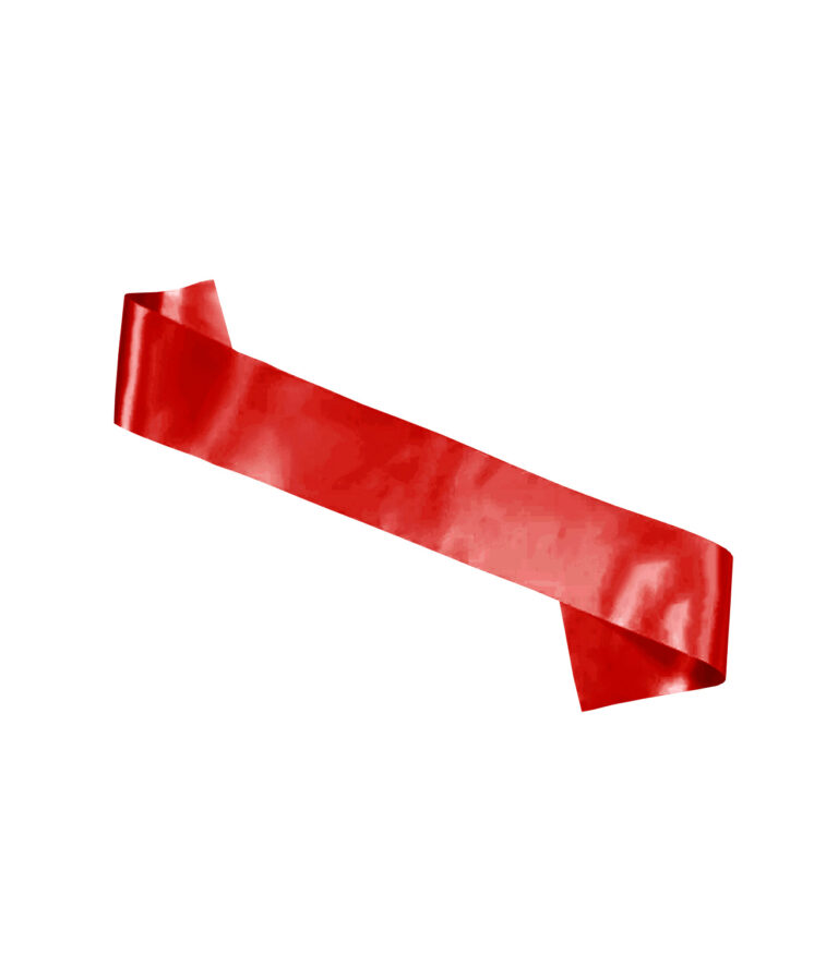 Customized Sash – Red – LookSharpStore