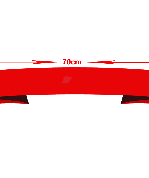 Sash | LookSharpStore