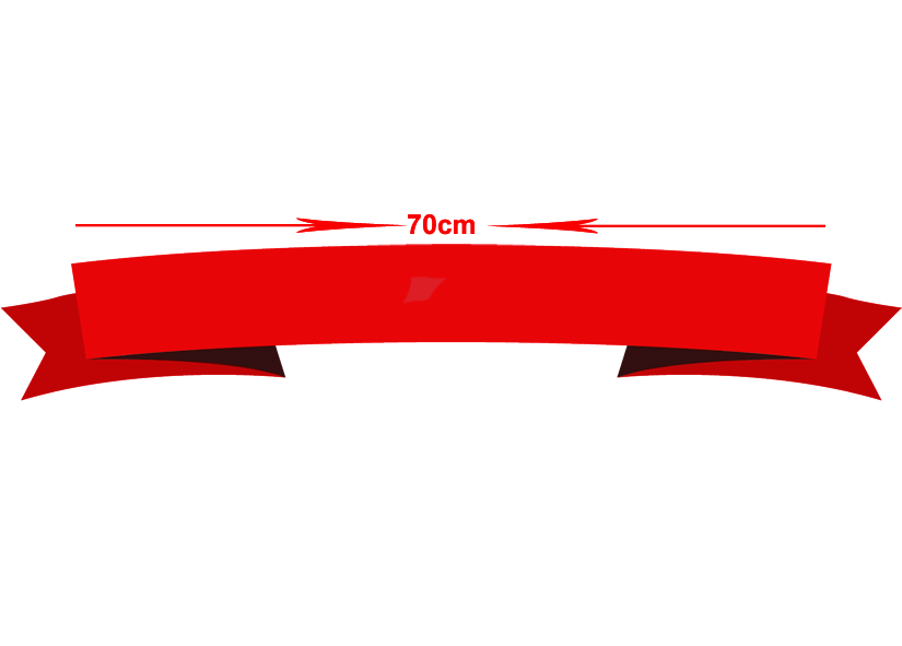 Customized Sash – Red | LookSharpStore