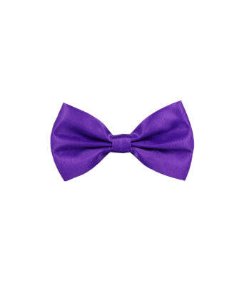 Purple Bow Tie – LookSharpStore