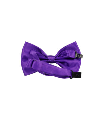 Purple Bow Tie – LookSharpStore
