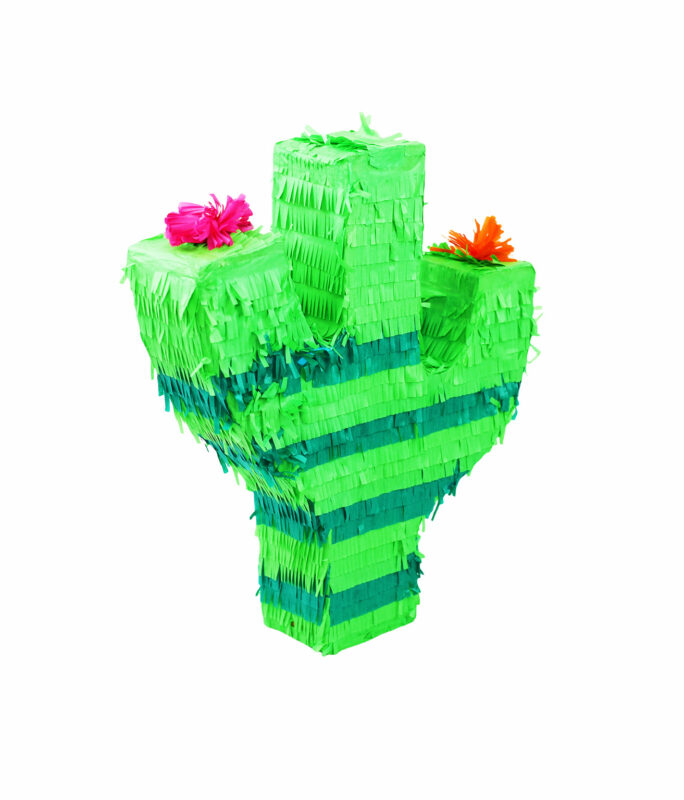Cactus Pinata – LookSharpStore