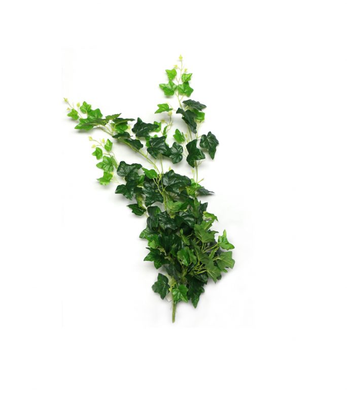 LBG07-01A – LookSharpStore