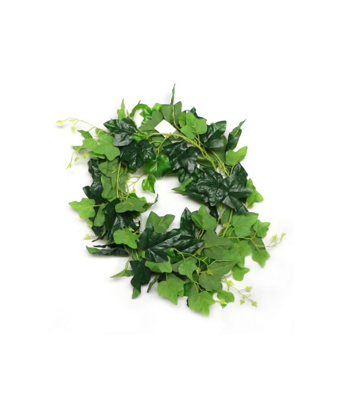 LTT220-01A – LookSharpStore