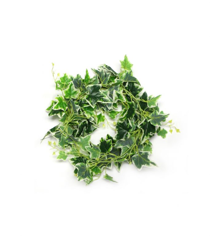 LTT220-01B – LookSharpStore