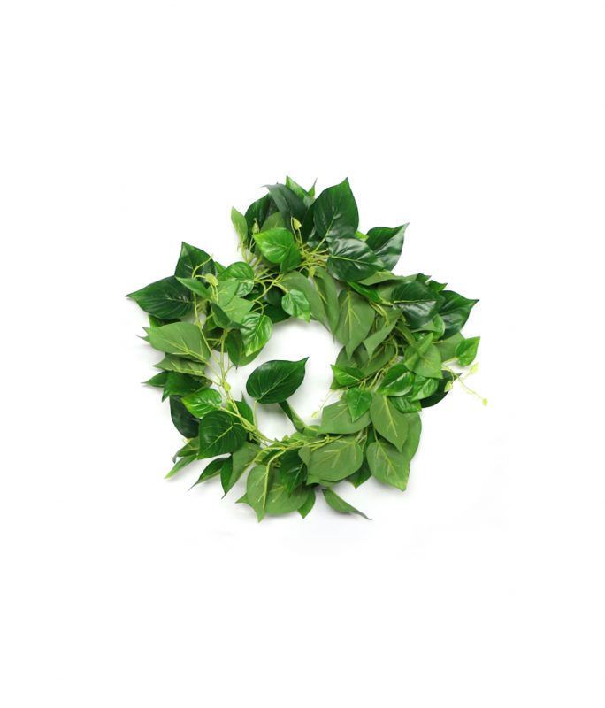 LTT220-02A – LookSharpStore