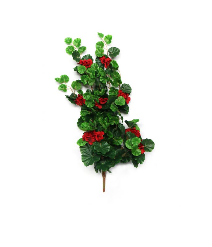 SFBG09-03A-RDF – LookSharpStore