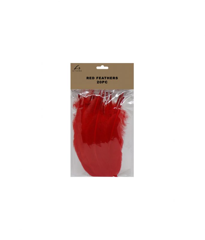 Red Feathers 20pc – LookSharpStore