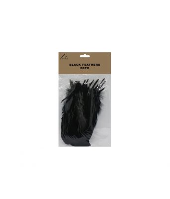 Black Feathers 20pc – LookSharpStore