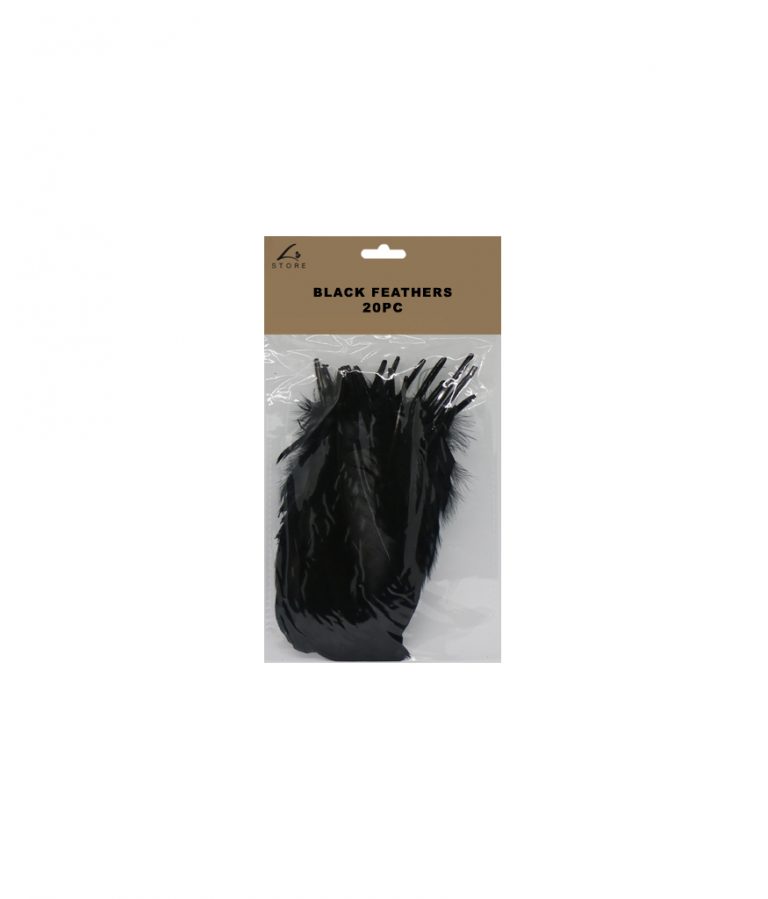 Black Feathers 20pc – LookSharpStore