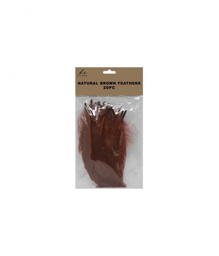 Natural Brown Feathers 20pc – LookSharpStore