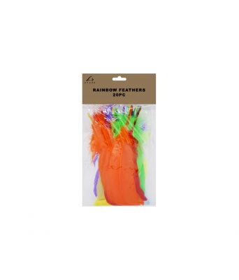 Mixed Colour Feathers 20pc – LookSharpStore