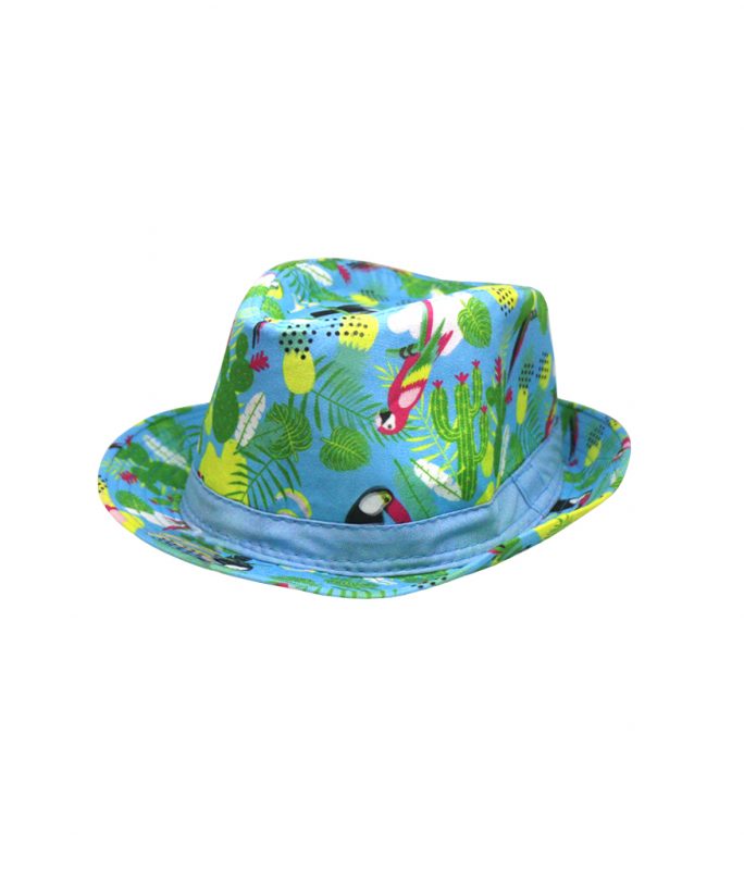 Summer Fedora Hat – LookSharpStore