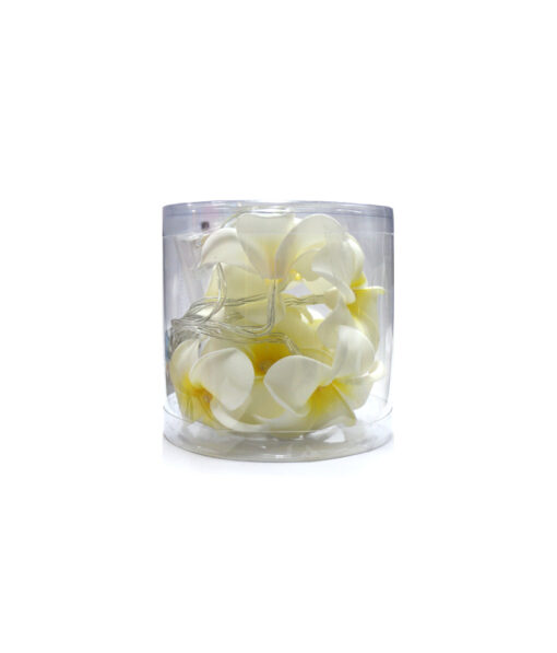 Warm White Frangipani Lights – LookSharpStore
