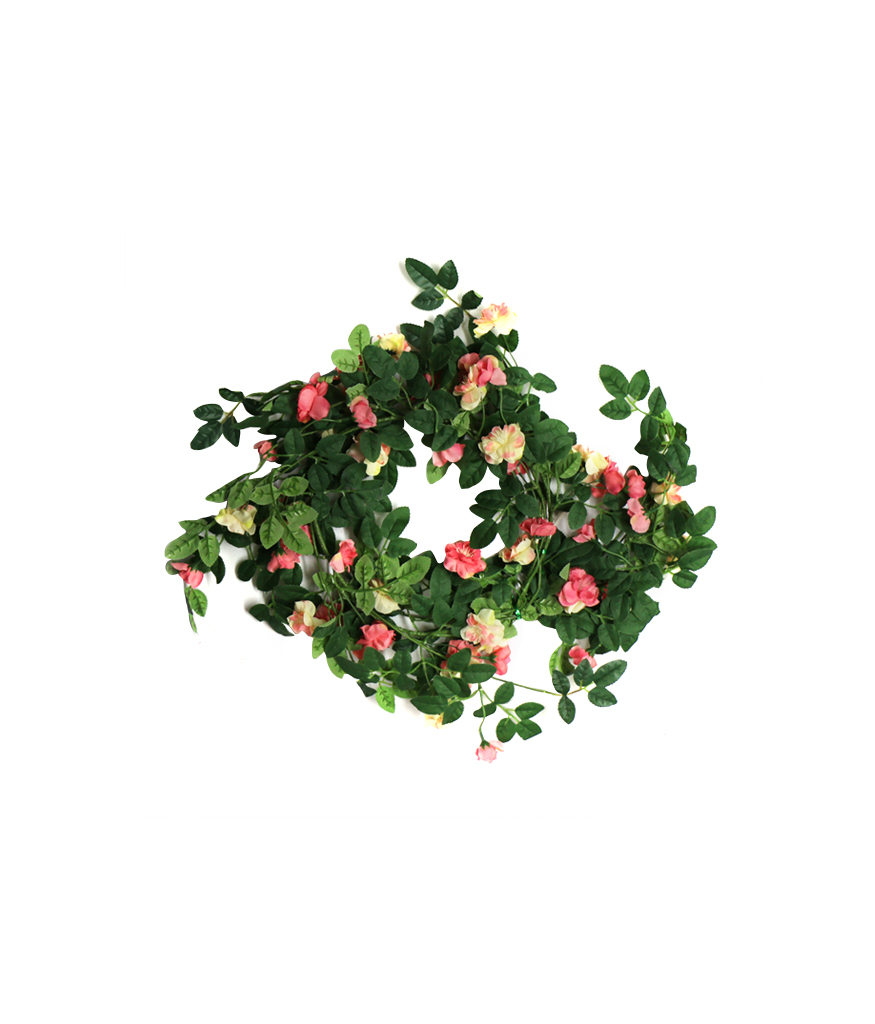 TH039007-PEA – LookSharpStore