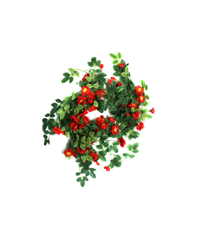 TH039007-RD – LookSharpStore