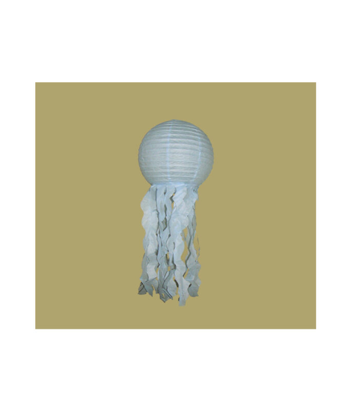 C342-30PB – LookSharpStore