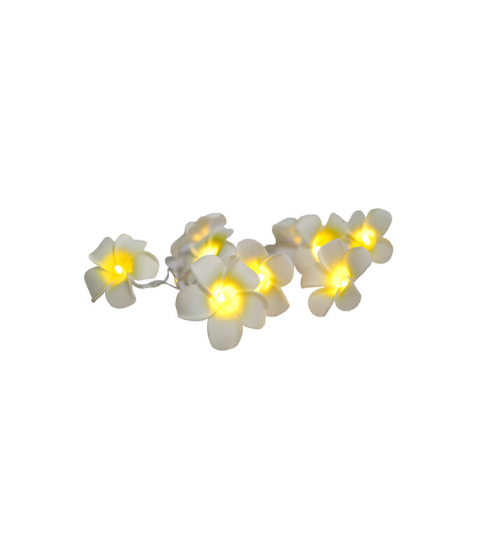 Frangipani Warm White Lights 1.5m – LookSharpStore