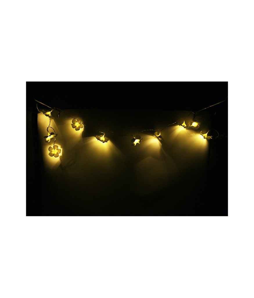 TR-Lfrangi-2 – LookSharpStore