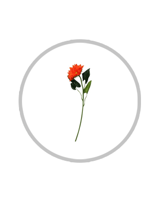stemflower-icon – LookSharpStore