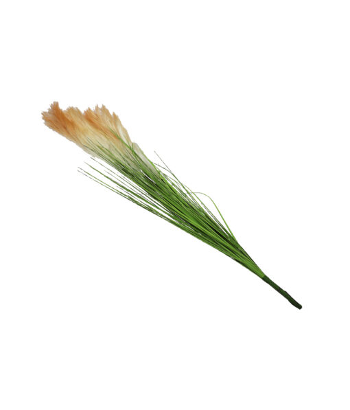 Natural Silk Reed 88cm – LookSharpStore
