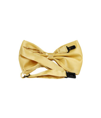 Gold Bow Tie – LookSharpStore