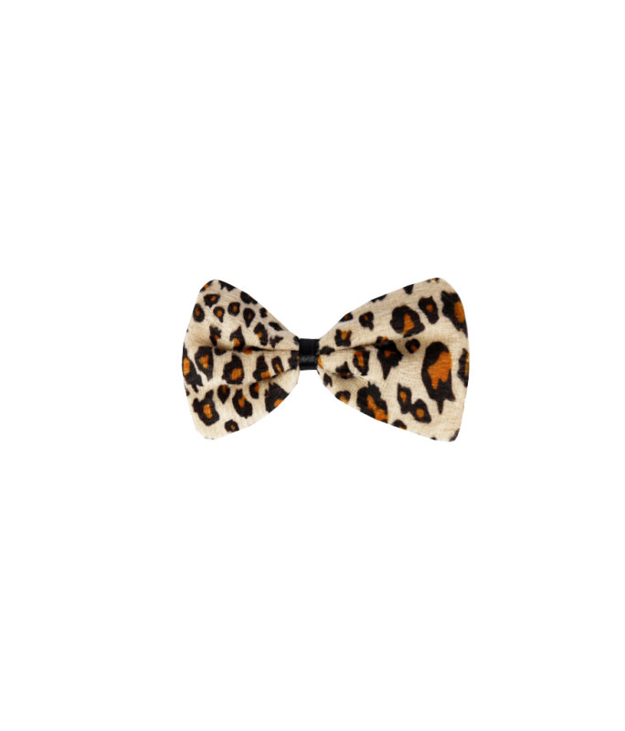 Leopard Accessory Set – LookSharpStore