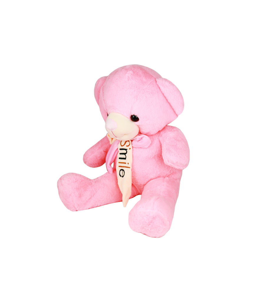 BS02-P70-1 – LookSharpStore