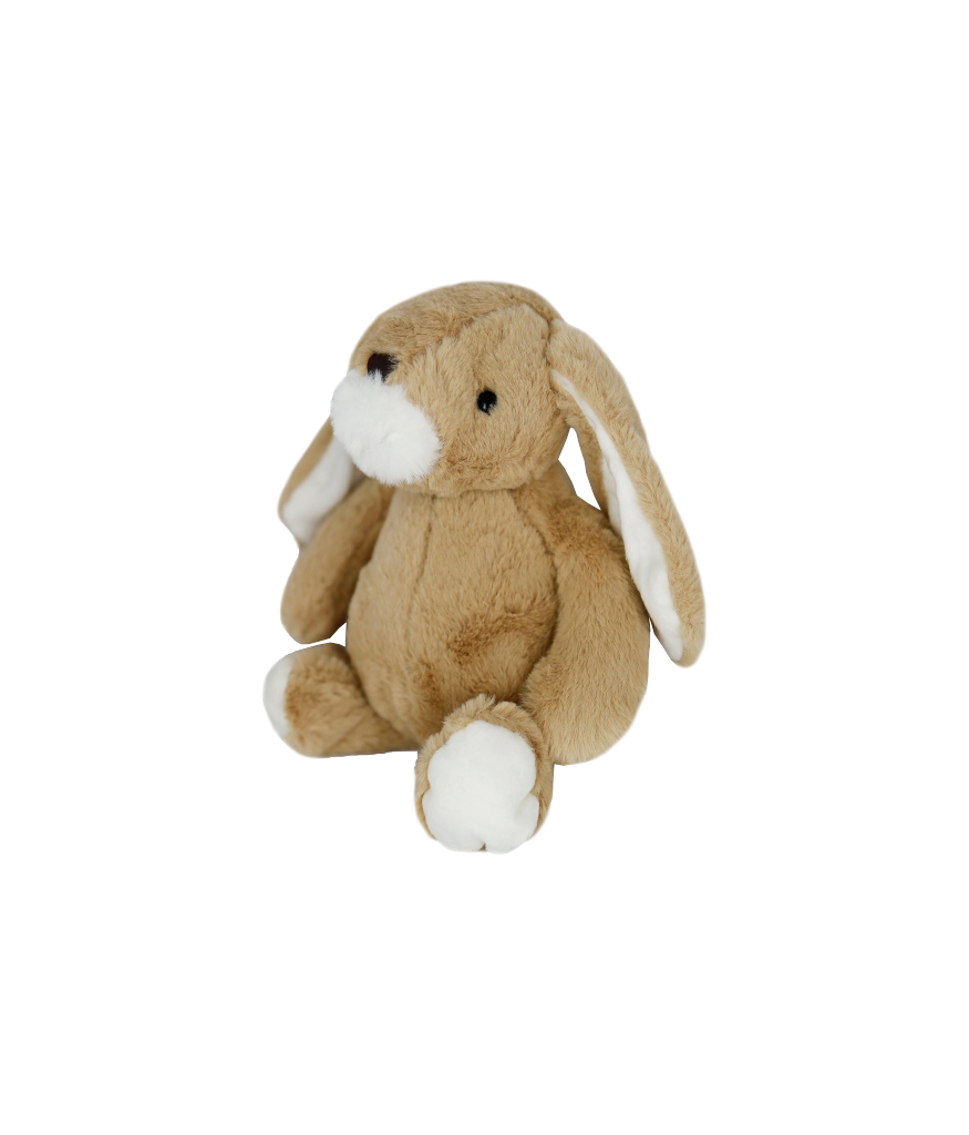 LR02-BR30-1 – LookSharpStore