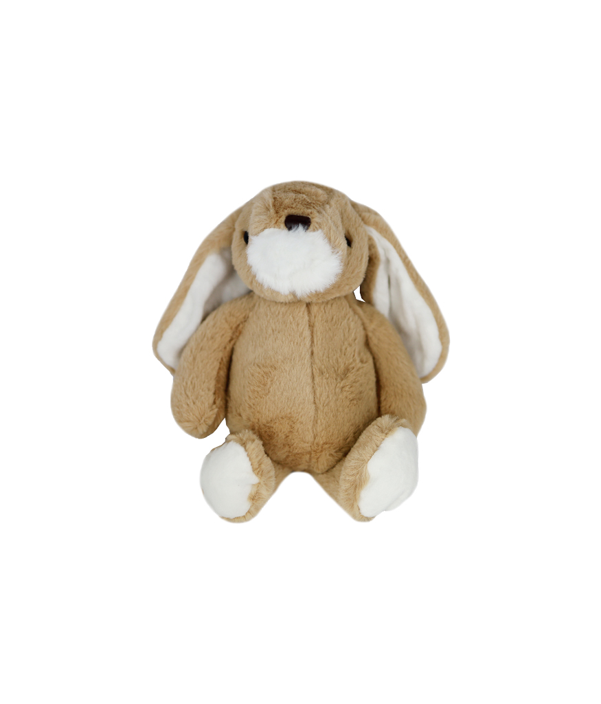 LR02-BR30 – LookSharpStore