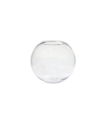 Round Glass Fish Bowl 13cm – LookSharpStore