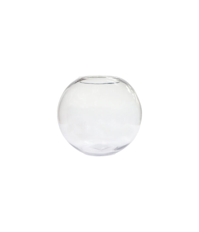 Round Glass Fish Bowl 13cm – LookSharpStore