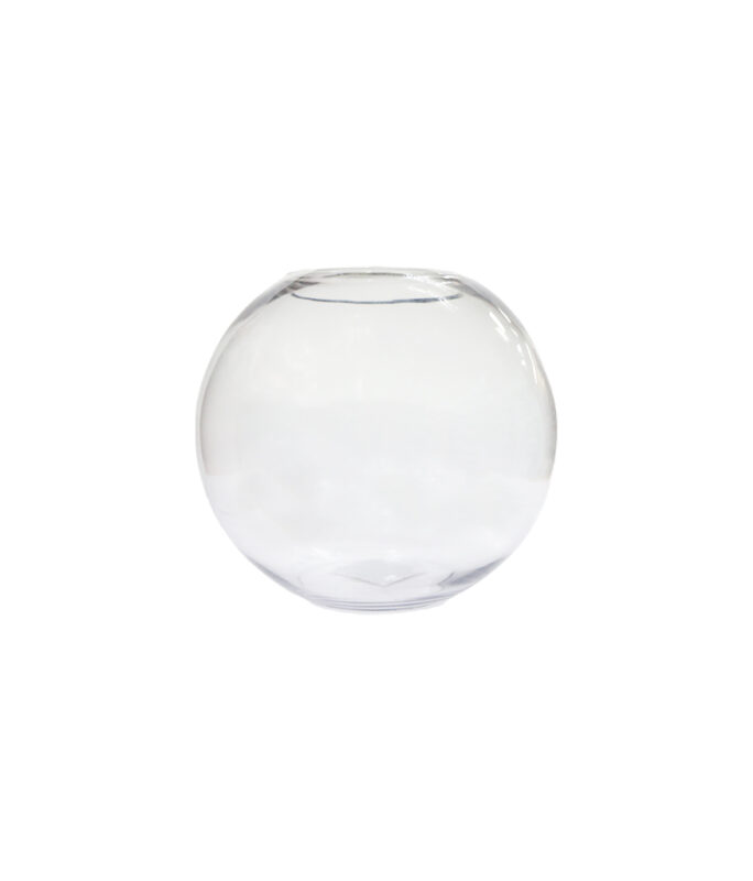 Round Glass Fish Bowl 16cm – LookSharpStore