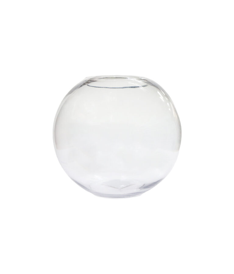 Round Glass Fish Bowl 22cm – LookSharpStore