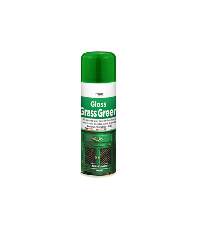 Grass Green Gloss Spray Paint 100ml – LookSharpStore