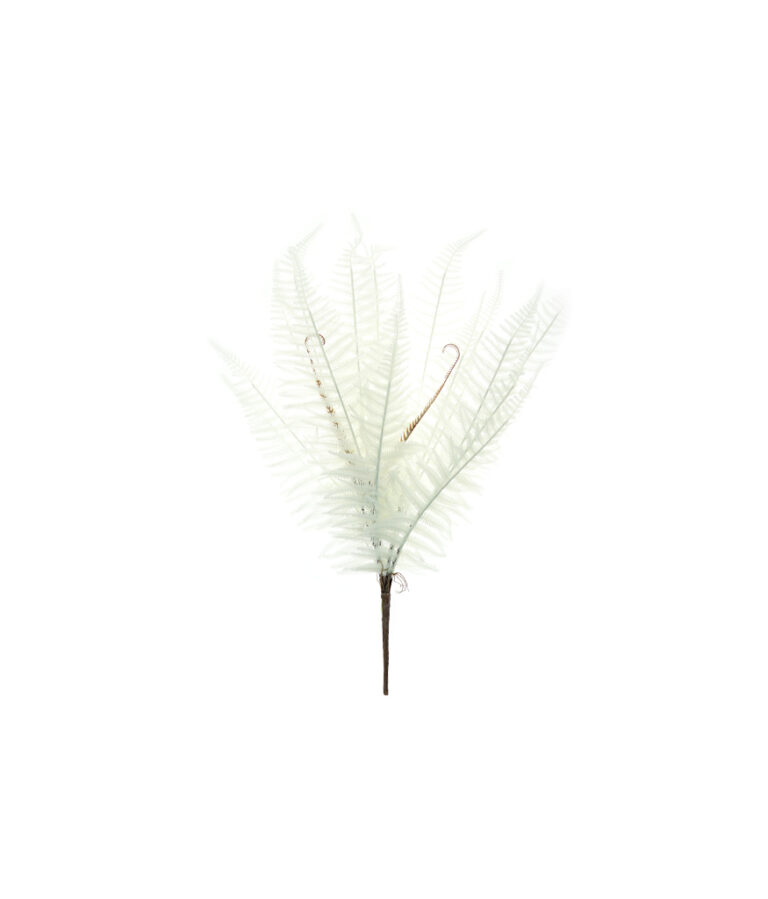 White Colour Fern 65cm – LookSharpStore