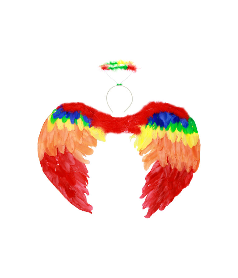 Rainbow Angel Wings & Headband 80cm – LookSharpStore