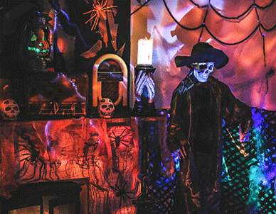 Party Supplies NZ | Costume Shop NZ | Halloween Decorations & Dress Up ...