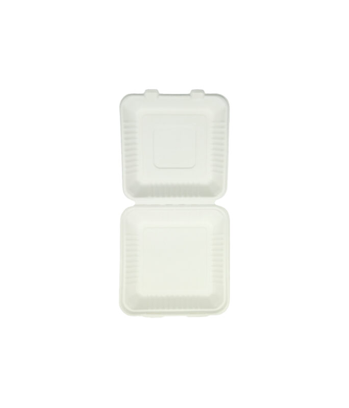 Biodegradable Clamshell Container 23.5cm 10pc – LookSharpStore