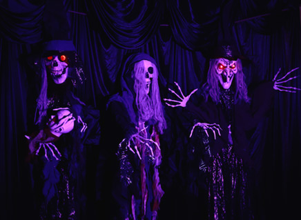 Halloween – LookSharpStore