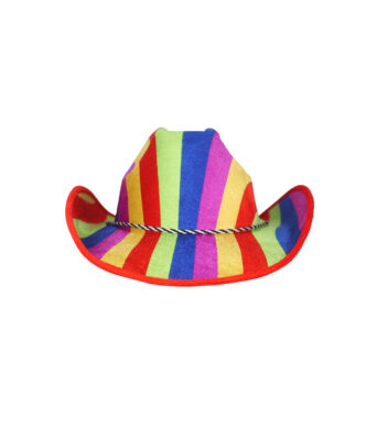 Rainbow Cowboy Hat – LookSharpStore