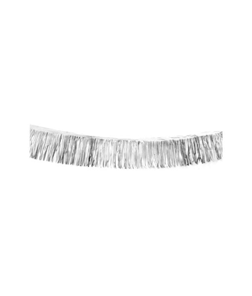 Silver Paper Fringe Banner 2m – LookSharpStore
