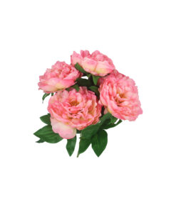 Inflatables | LookSharpStore