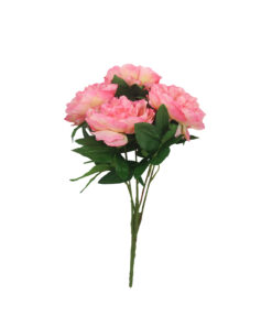 Inflatables | LookSharpStore