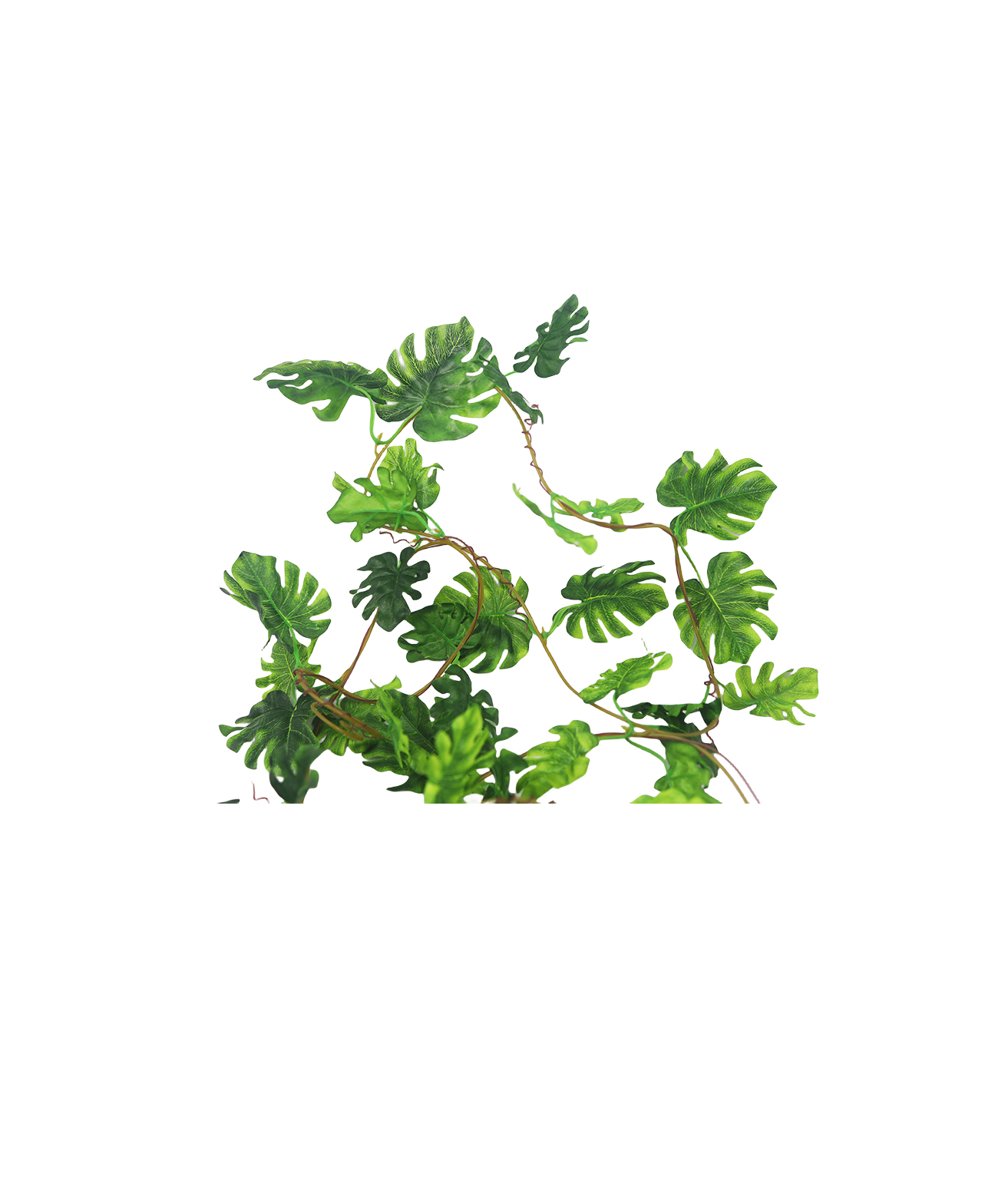 Monstera Leaf 275cm – LookSharpStore